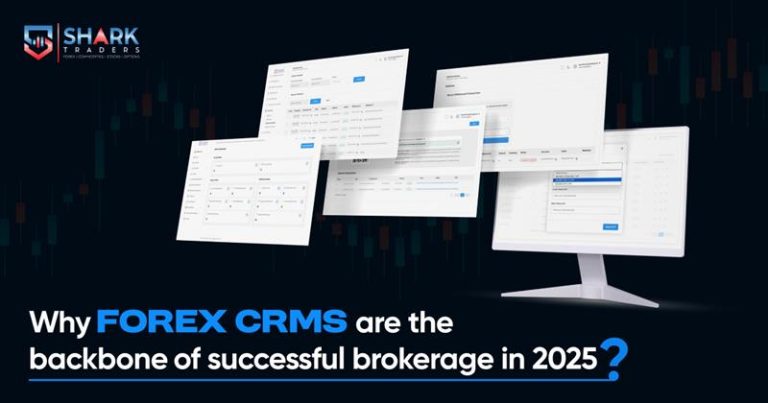 Prime of Prime Liquidity & Technology Provider | Shark Technologies